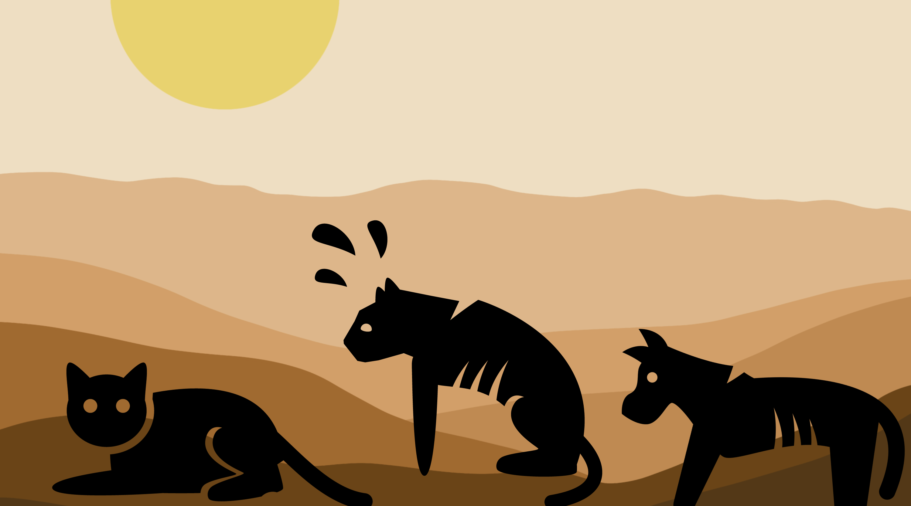 150 Cats Left For Dead In Al Falah Abu Dhabi Desert